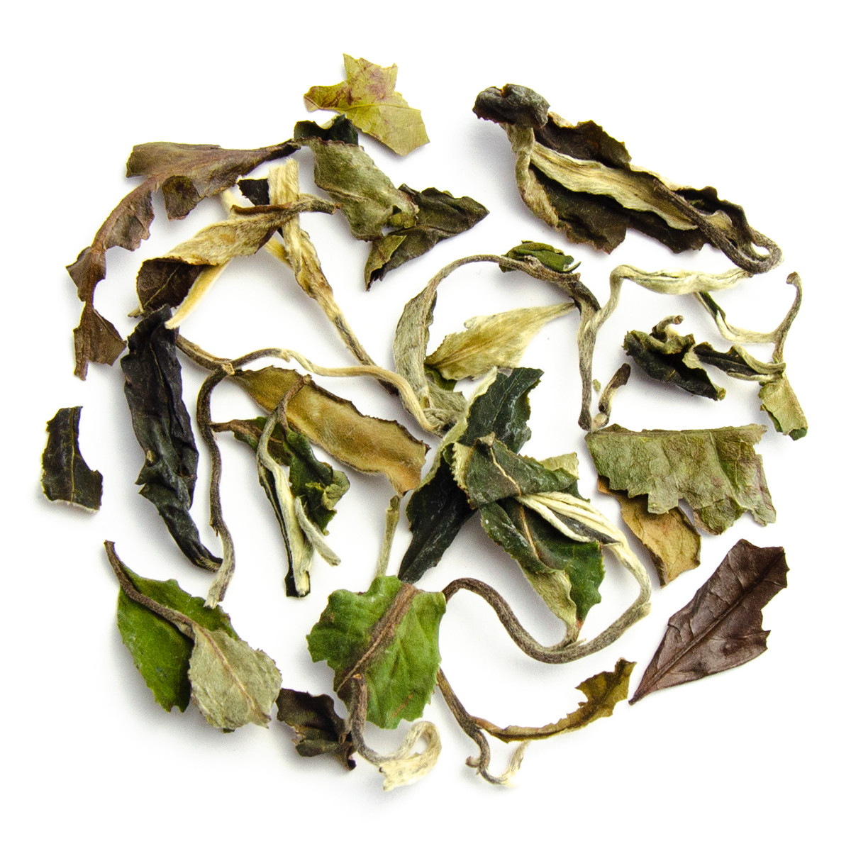 Althaus Green Teas | Discover our large selection of tea